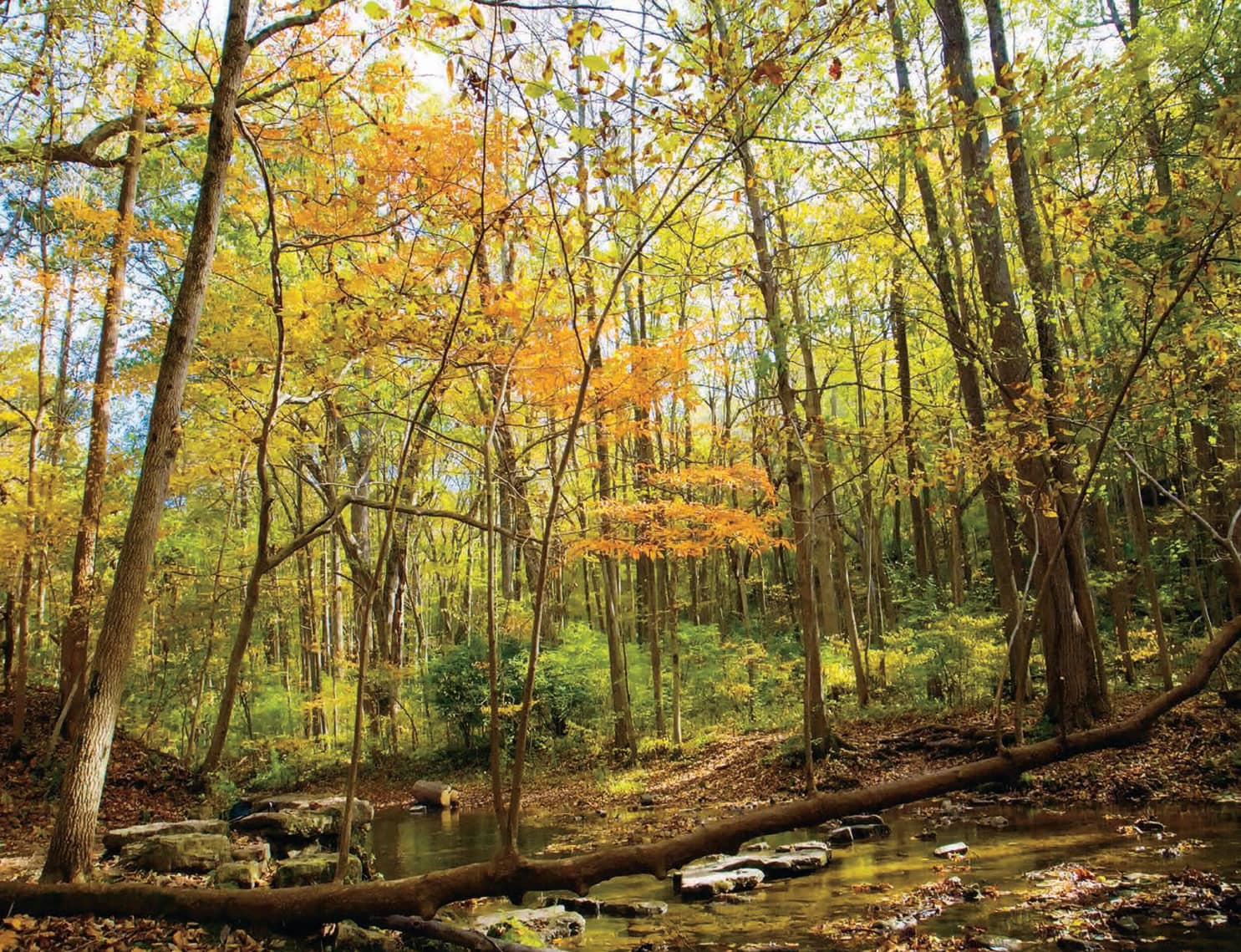 Our Work at Glen Helen Nature Preserve