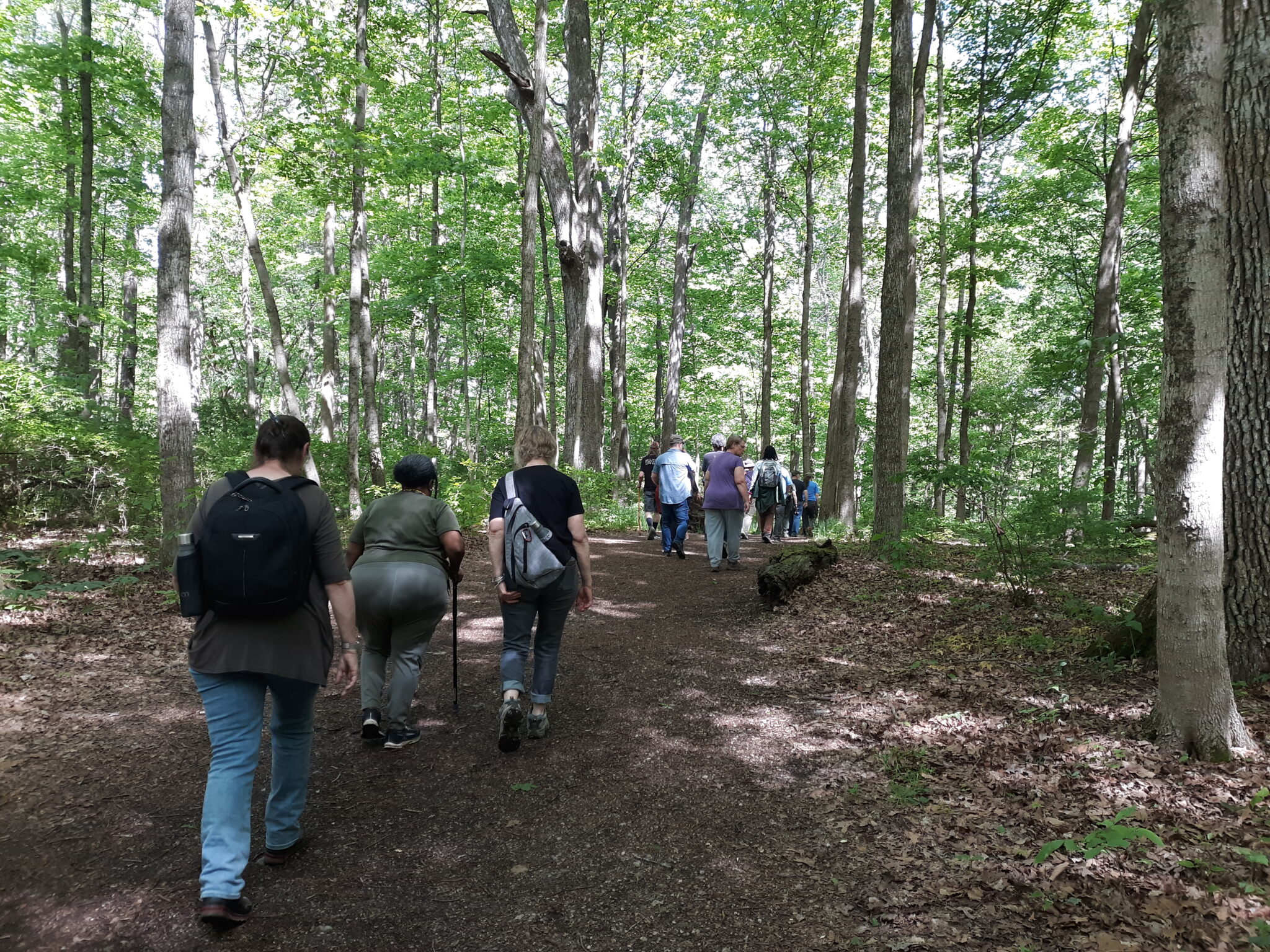 OCVN 2 | Glen Helen Nature Preserve