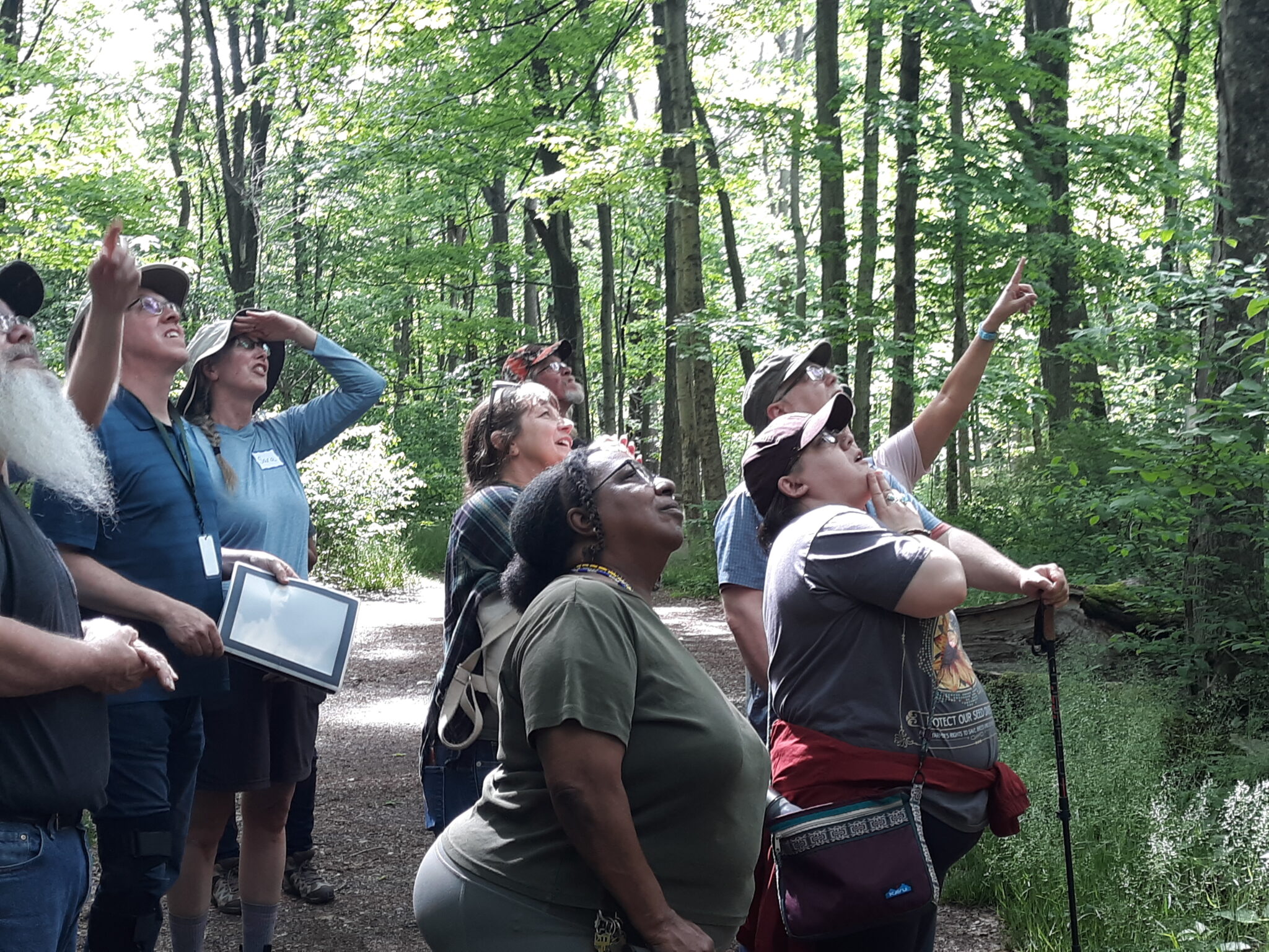 OCVN 2 | Glen Helen Nature Preserve