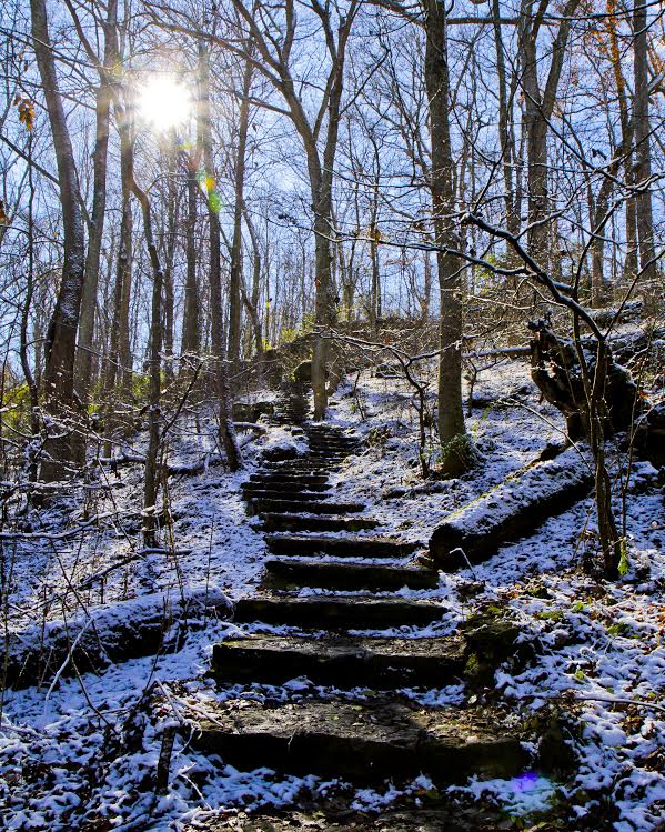 Winter Sensory Walk | Glen Helen Nature Preserve